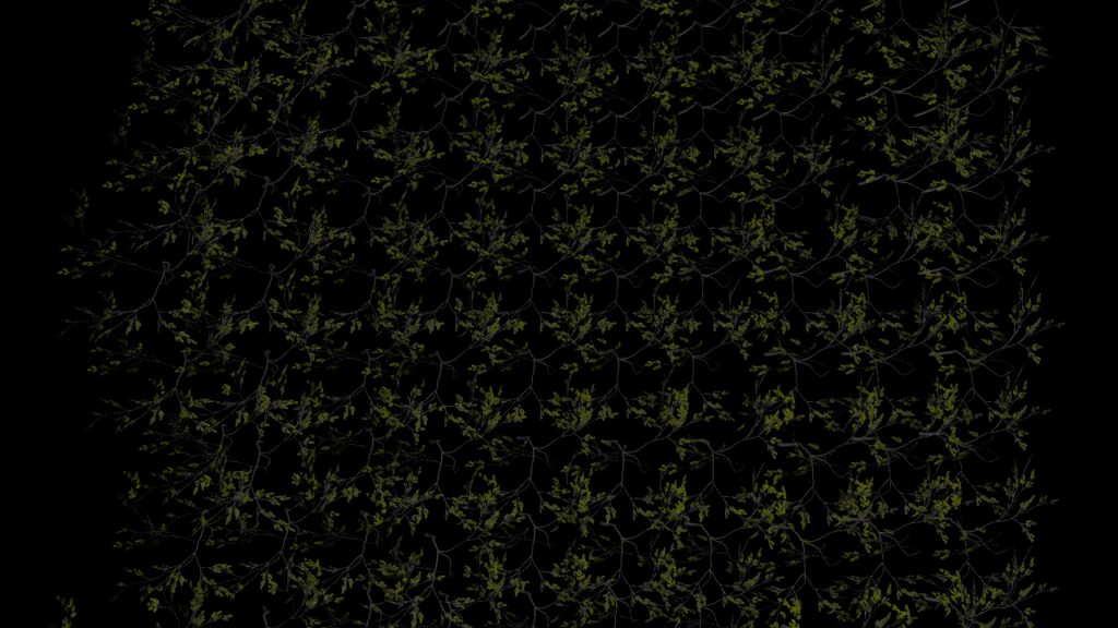 「量と質の変換」 L-systemおよび＋Conwayの例 | Monogokoro